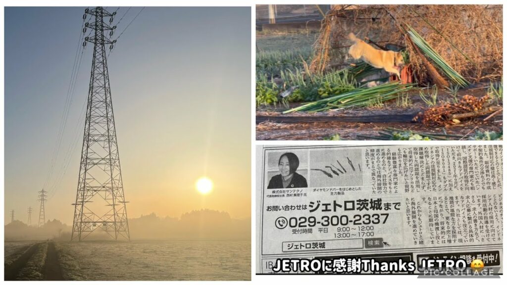 【ちむどんどん】予告第3週～7年後を描く【ネタバレ注意】【予告】 - wakatech.jp