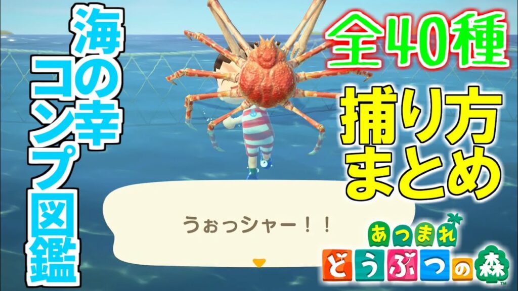 【最新版】Minecraftのインストール方法を完全解説! Java/Bedrock/Switch/PS4/PS5/スマホ - wakatech.jp