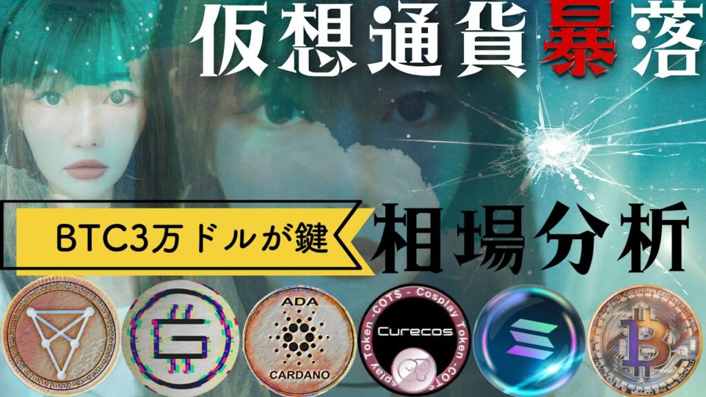 【ビットコイン,ADA,SOL,CHZ,GMT,COT】仮想通貨大暴落後3万ドルが鍵となる - wakatech.jp