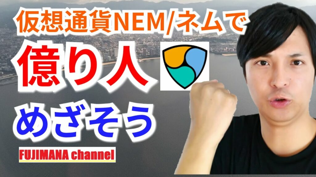 仮想通貨NEM(XEM)ネムで億り人めざそう【人気急上昇で夢がある】 - wakatech.jp