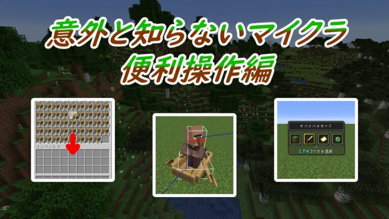 【ゆっくり】意外と知らないマイクラ 便利操作編【JAVA版1.17】 - wakatech.jp
