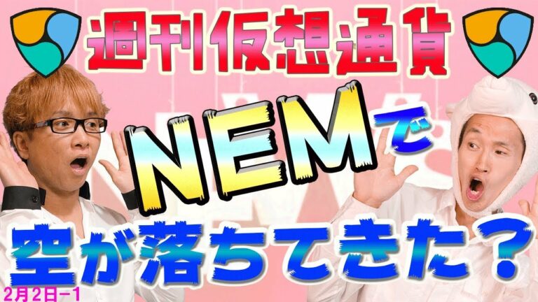 コインチェックとネム 今後どうなる？ もっと深い闇がある？ coincheck NEM ハードウェアウォレット セキュリティ 最新・仮想通貨ニュース - wakatech.jp