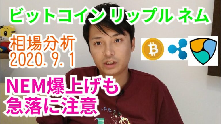 【ビットコイン,リップル,ネム】仮想通貨相場分析 NEM爆上げも急落に注意 - wakatech.jp