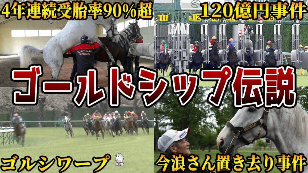 【10選】ゴールドシップが起こした伝説すぎるエピソード【競馬】 - wakatech.jp