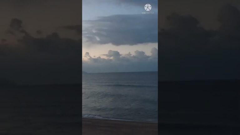 椰子のみ 2番 唄三線練習 #shorts #ちむどんどん #朝ドラ - wakatech.jp